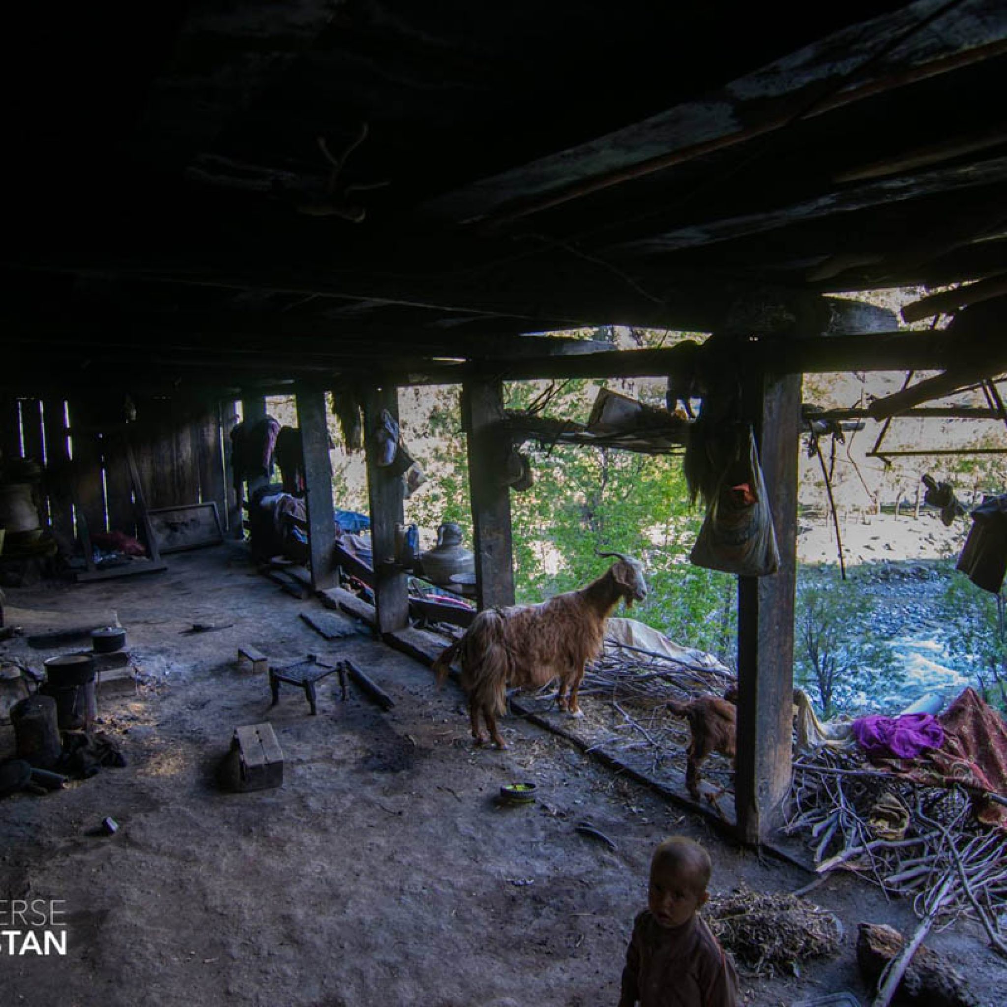 Who are Kalasha People? Where do They Live? - Traverse Pakistan