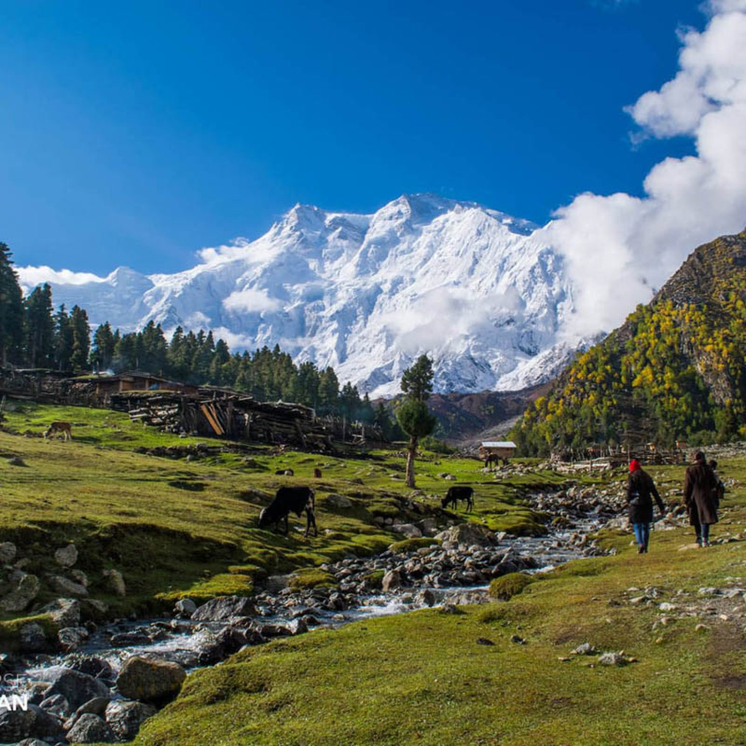 All about the Killer Mountain; Nanga Parbat - Traverse Pakistan
